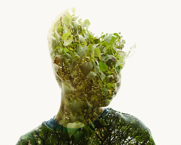 Christoffer Relander