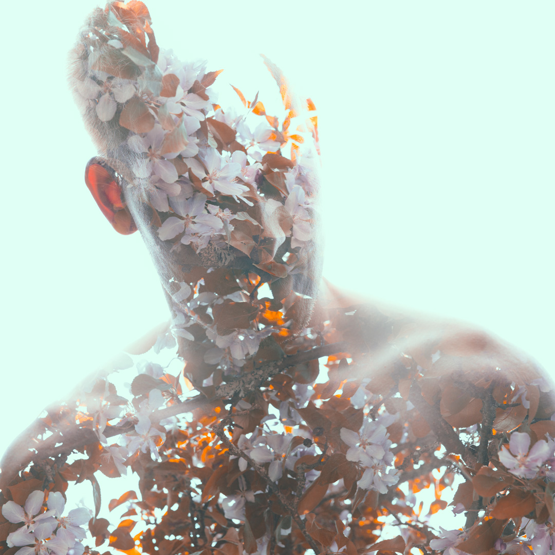 Limited Edition Prints — Christoffer Relander