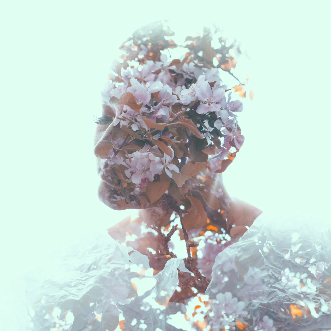 Limited Edition Prints — Christoffer Relander