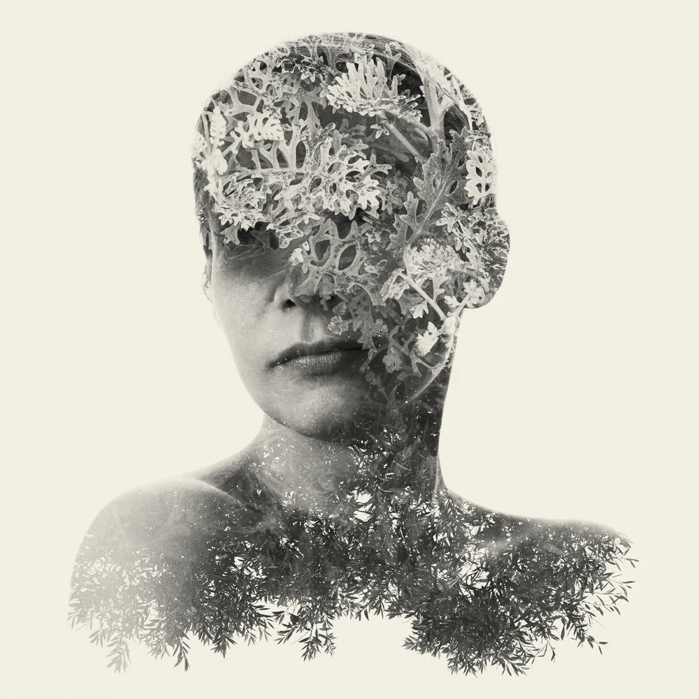 Blog — Christoffer Relander