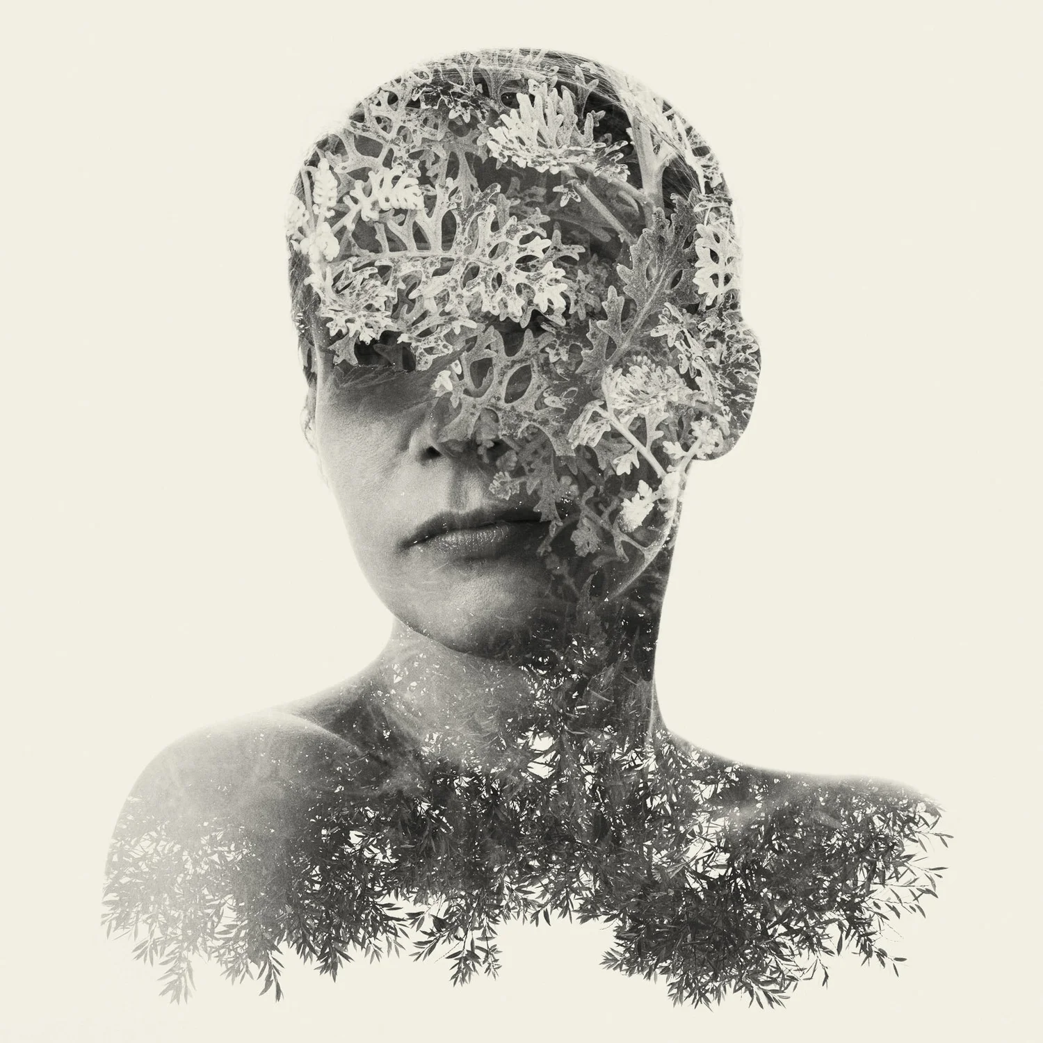 Blog — Christoffer Relander