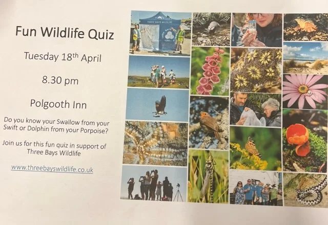 What's On — Polgooth Inn