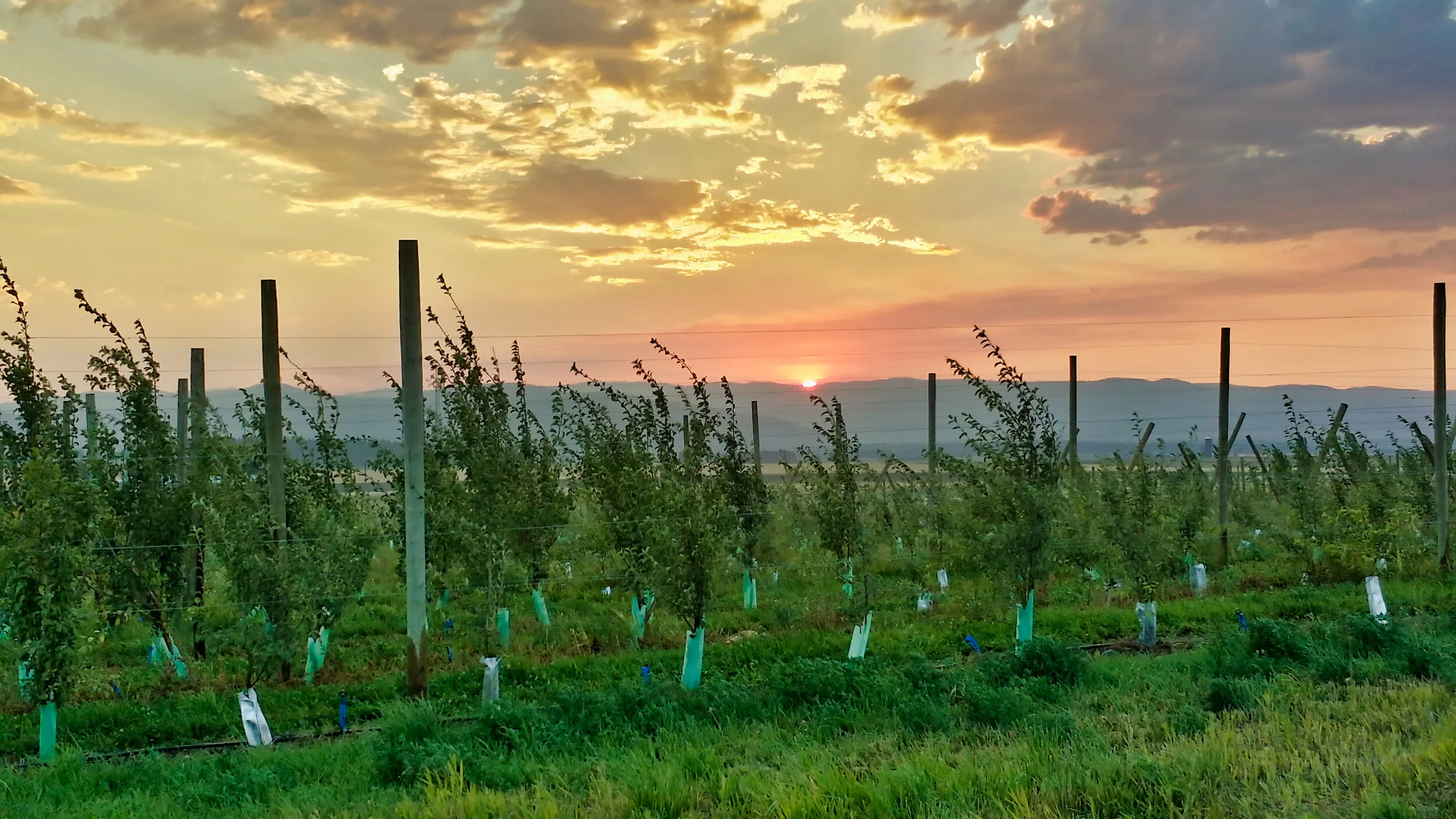 Ciderhouse & Taproom — Big Mountain Ciderworks