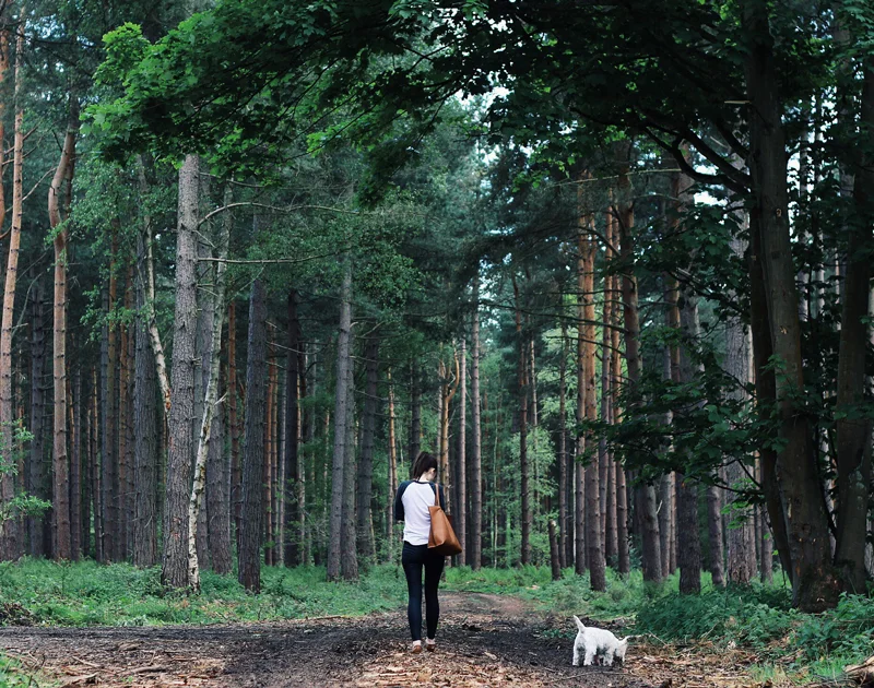 The Best Me Time Activities — From Roses