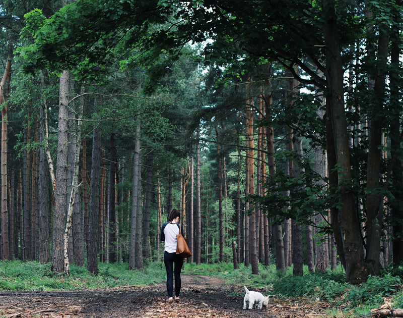 What To Do When You're Completely Burnt Out — From Roses