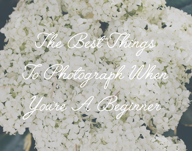 The Best Things To Photograph When You're A Beginner — From Roses