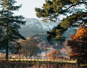 5 Awesome Things To Do In December & Something Exciting For You — From ...