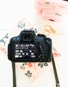 A Beginners Guide To Shooting Manual On Your SLR — From Roses