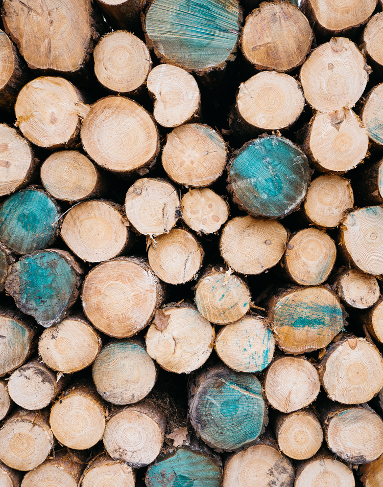 Why I'm Embracing A Creative & Inspiration Block [For Once] — From Roses