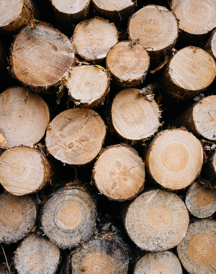 Why I'm Embracing A Creative & Inspiration Block [For Once] — From Roses