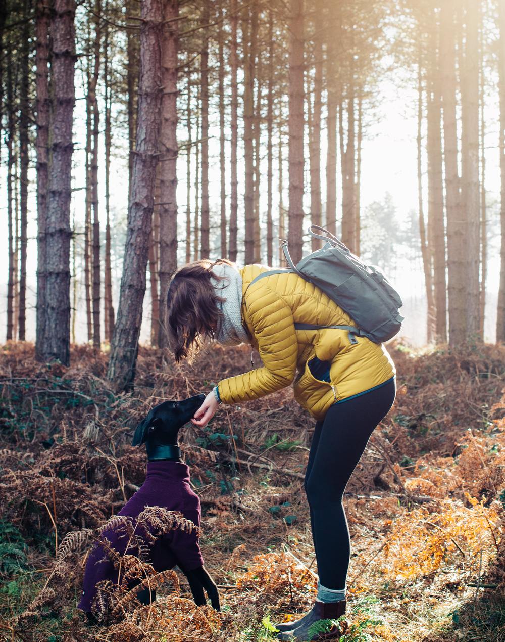 All The Best Things I've Learnt About Taking Pictures For 12 Years ...
