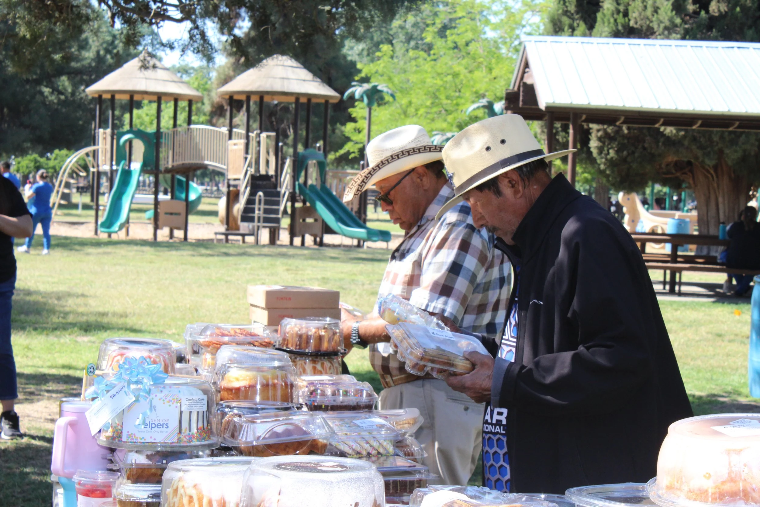 Senior Day in the Park 2025 — CSET