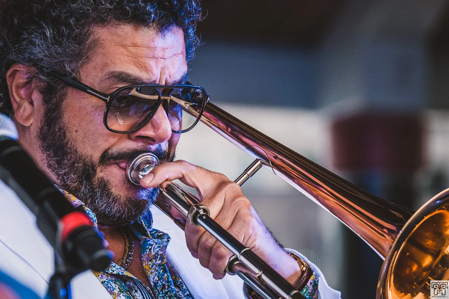 Luna — dougbeavers.com