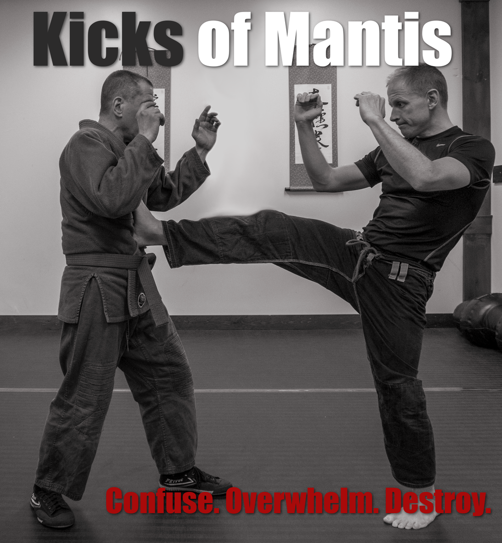 The Kicks of Mantis Boxing Training Course — Randy Brown Mantis Boxing