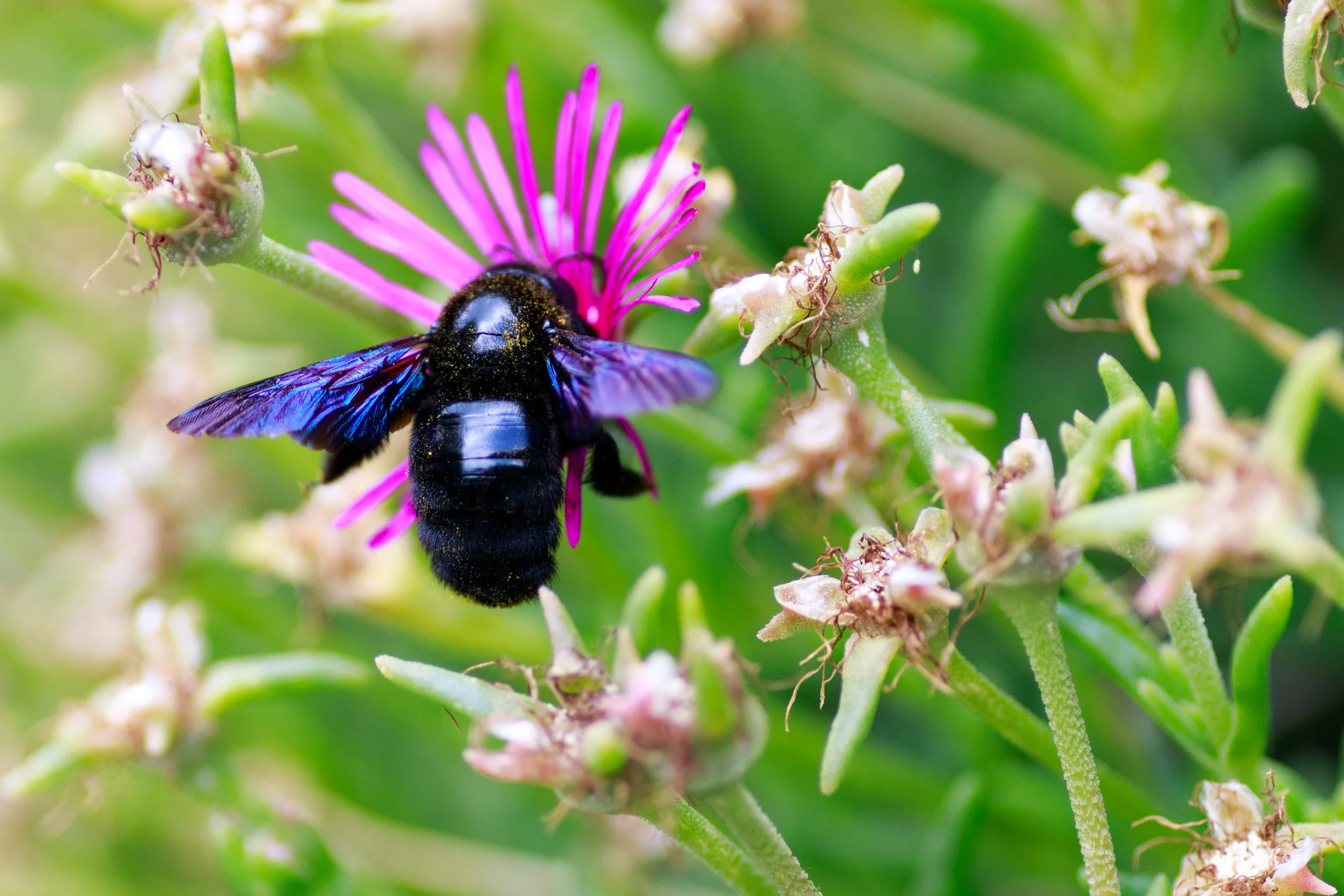 Fotografie | Social Media | Online vindbaarheid ‼️ Cavado