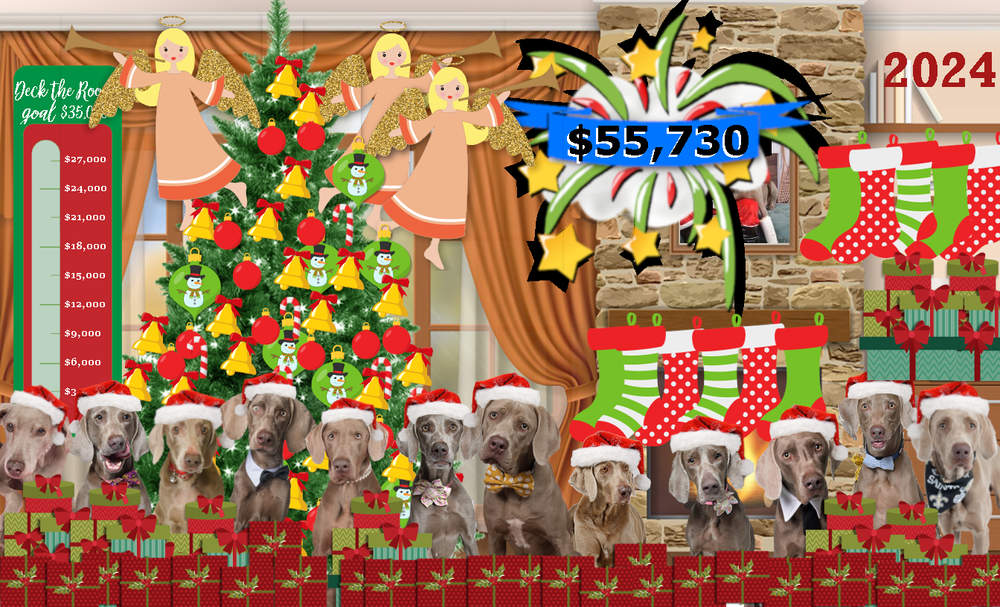 WRS Weimaraner Rescue of the South, Adopting Weims to Loving Homes