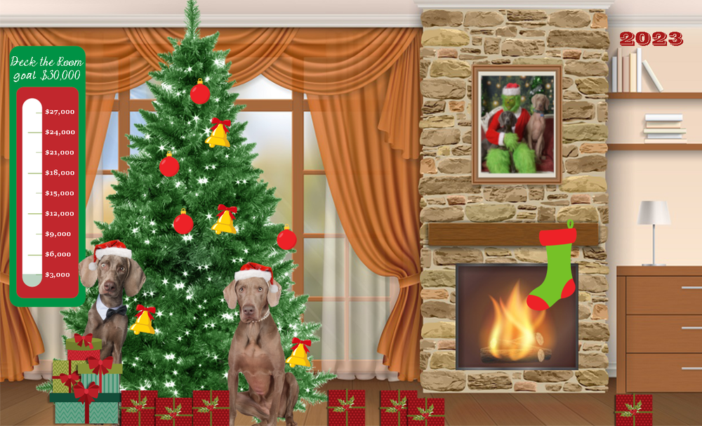 WRS Weimaraner Rescue of the South, Adopting Weims to Loving Homes