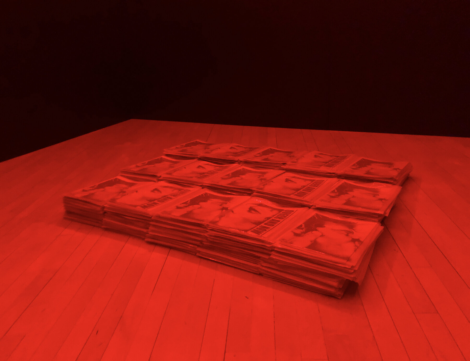 Queer and Now at Temple Contemporary — Nicolo Gentile