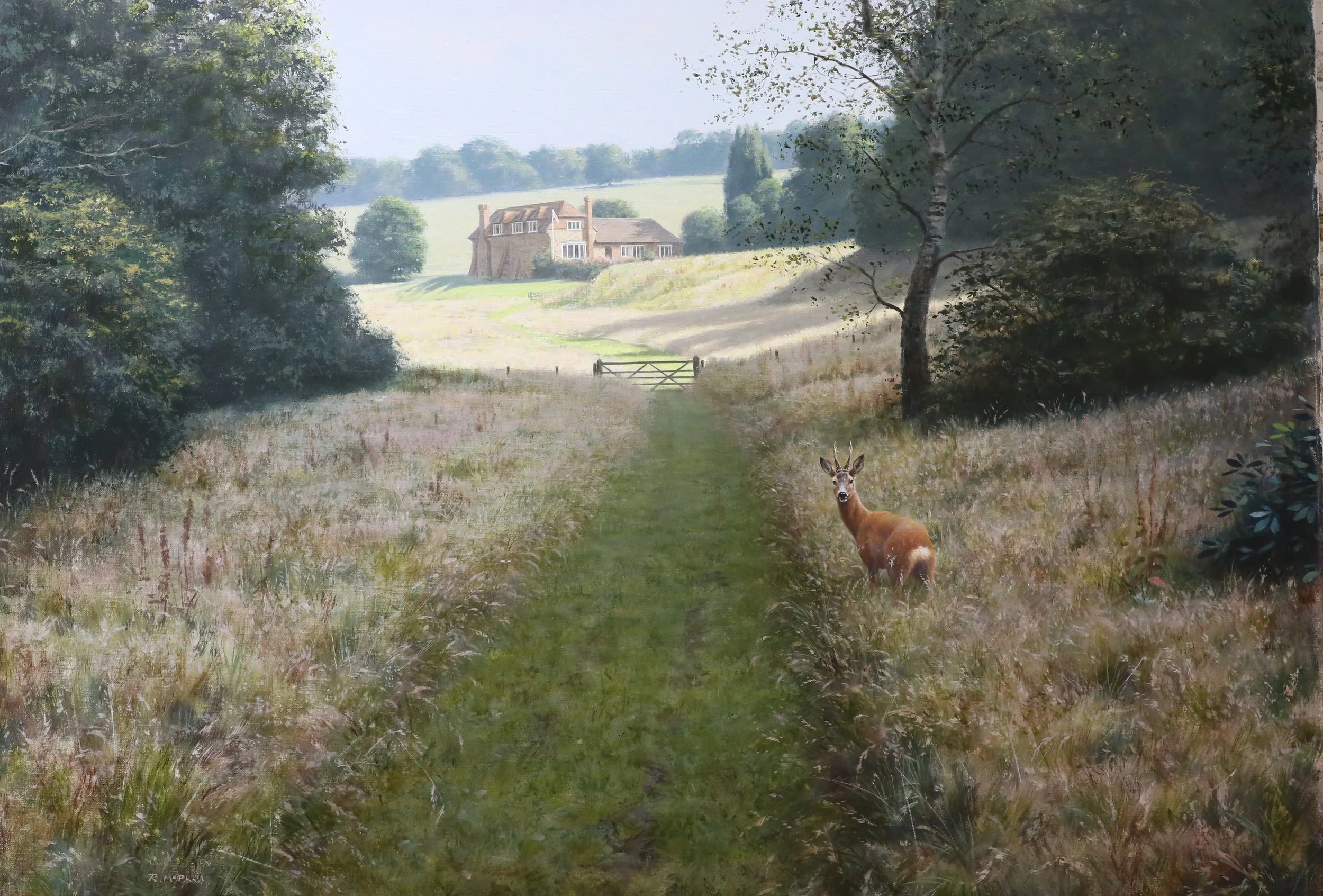 Rodger McPhail - Wildlife Paintings