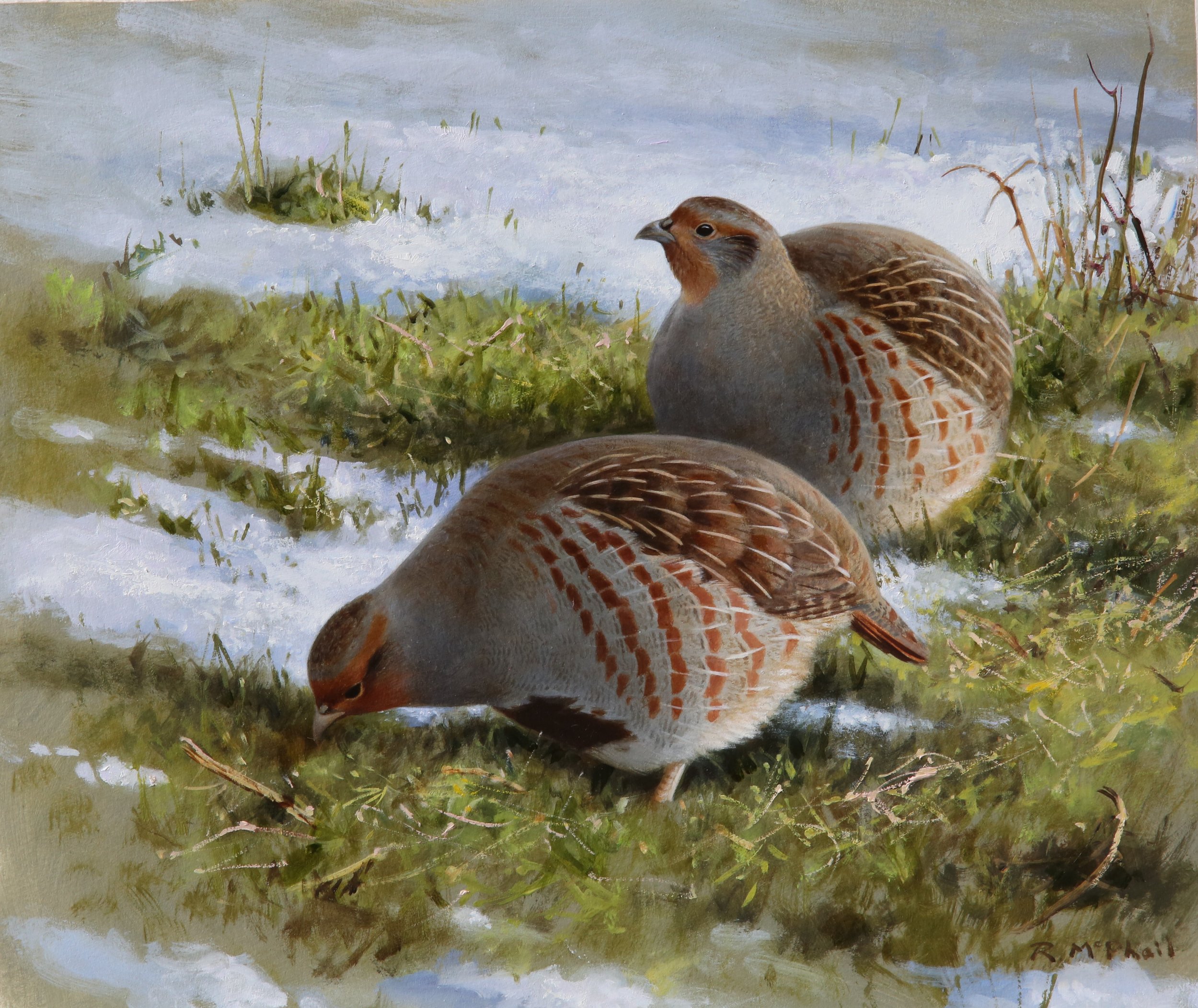 Rodger McPhail - Paintings for Sale