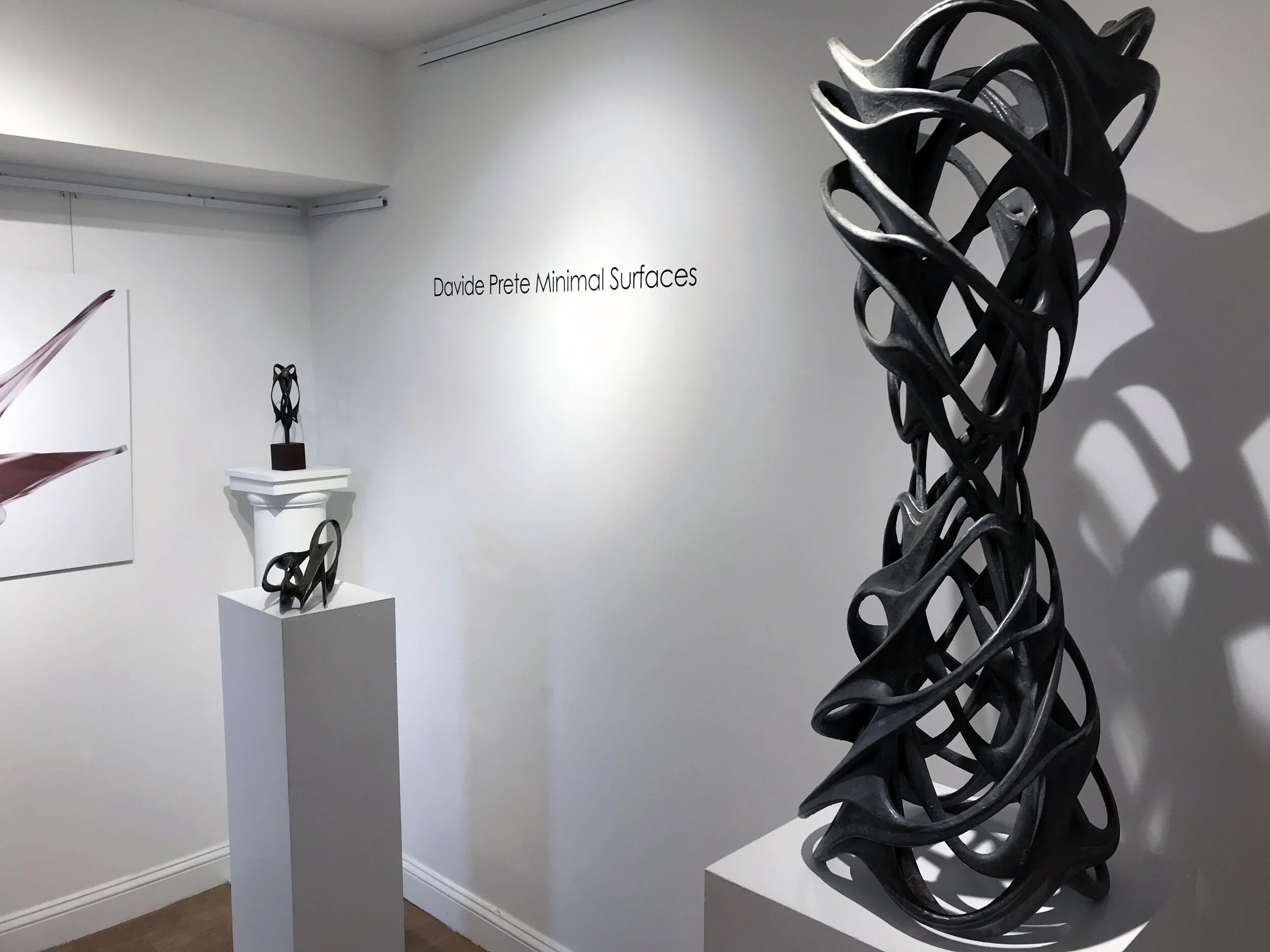 Davide Prete: Minimal Surfaces — Studio Gallery