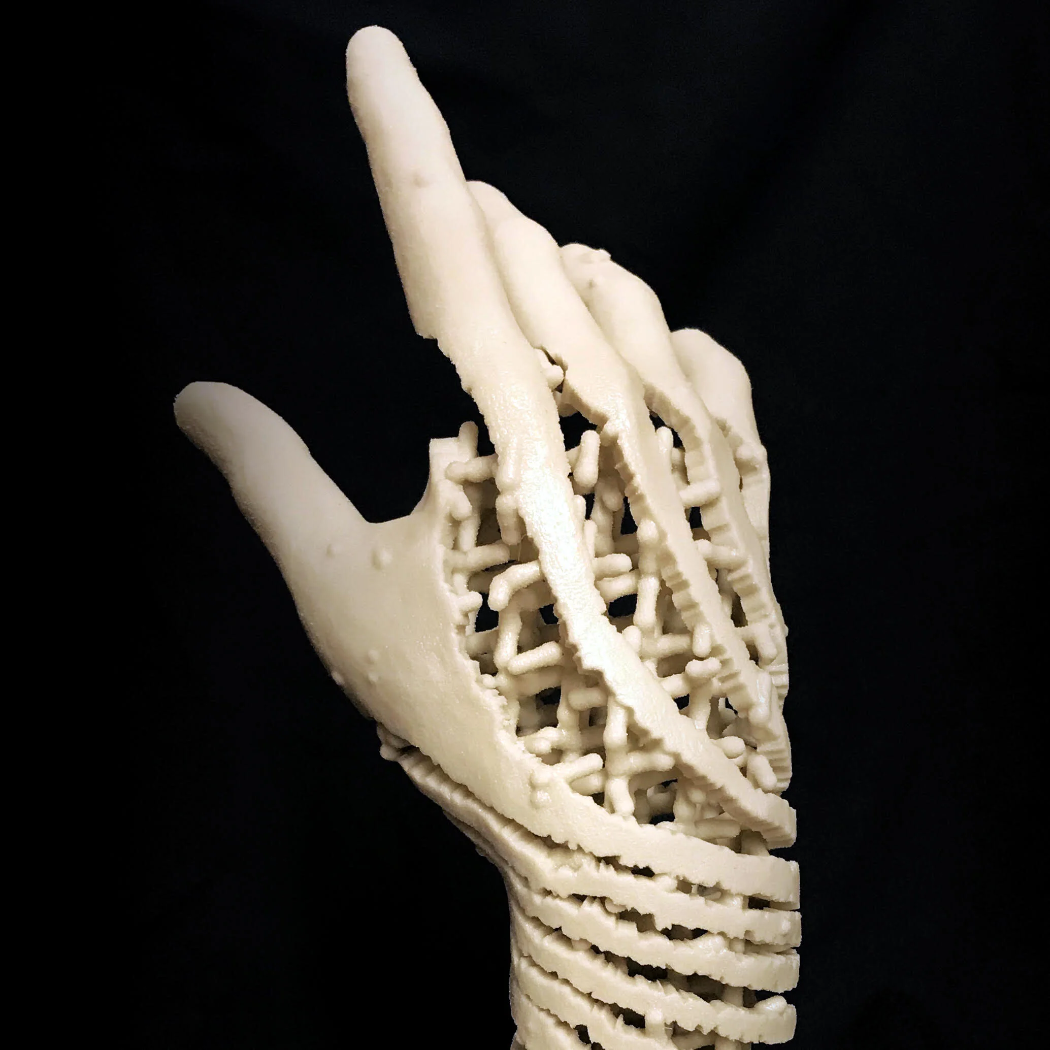 Davide Prete: Minimal Surfaces — Studio Gallery