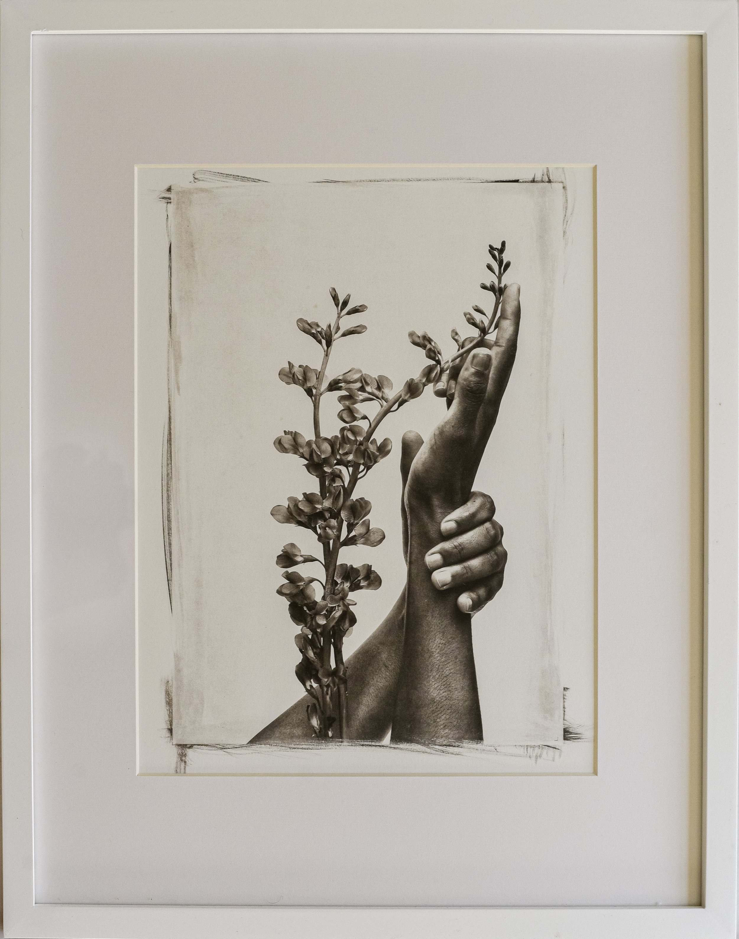 Coffee Catalogue — Studio Gallery