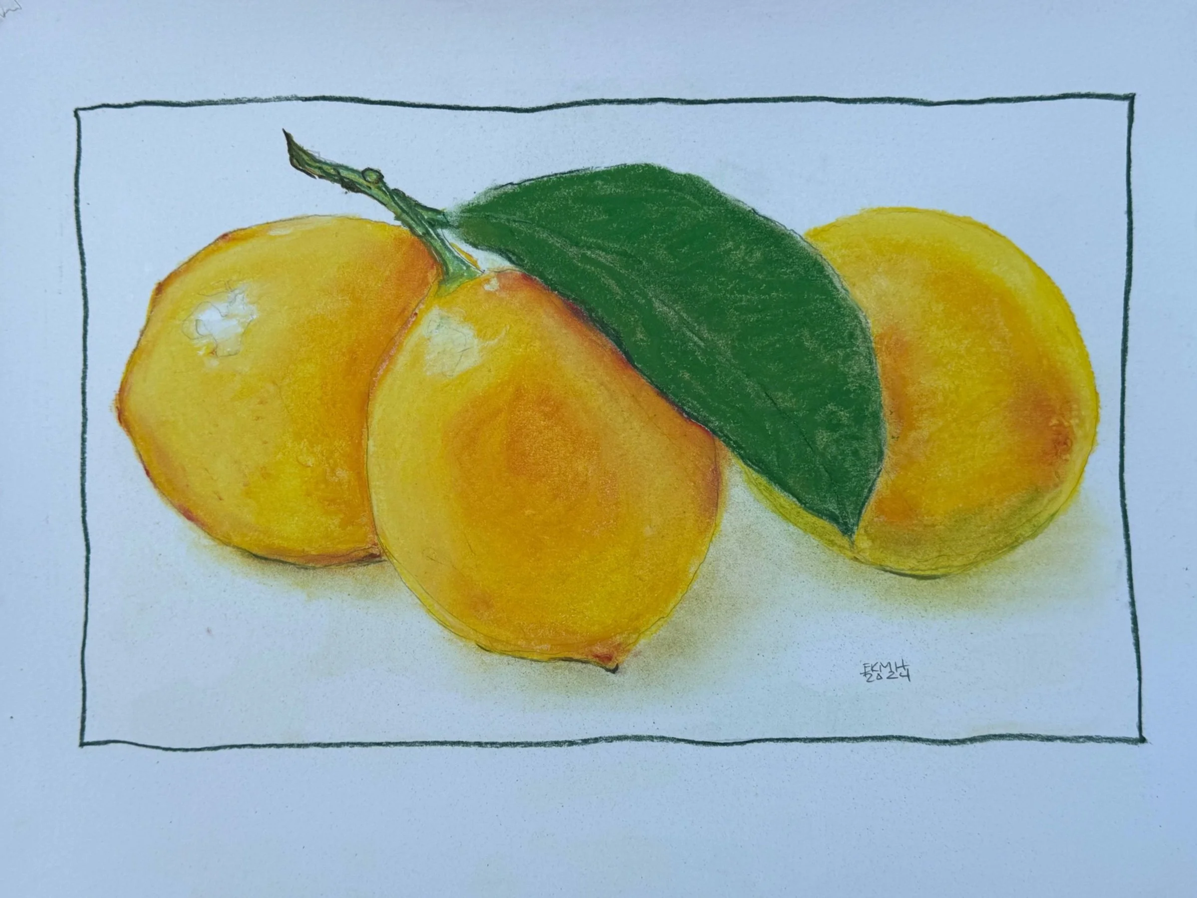 The Colors of Fruit Catalogue — Studio Gallery