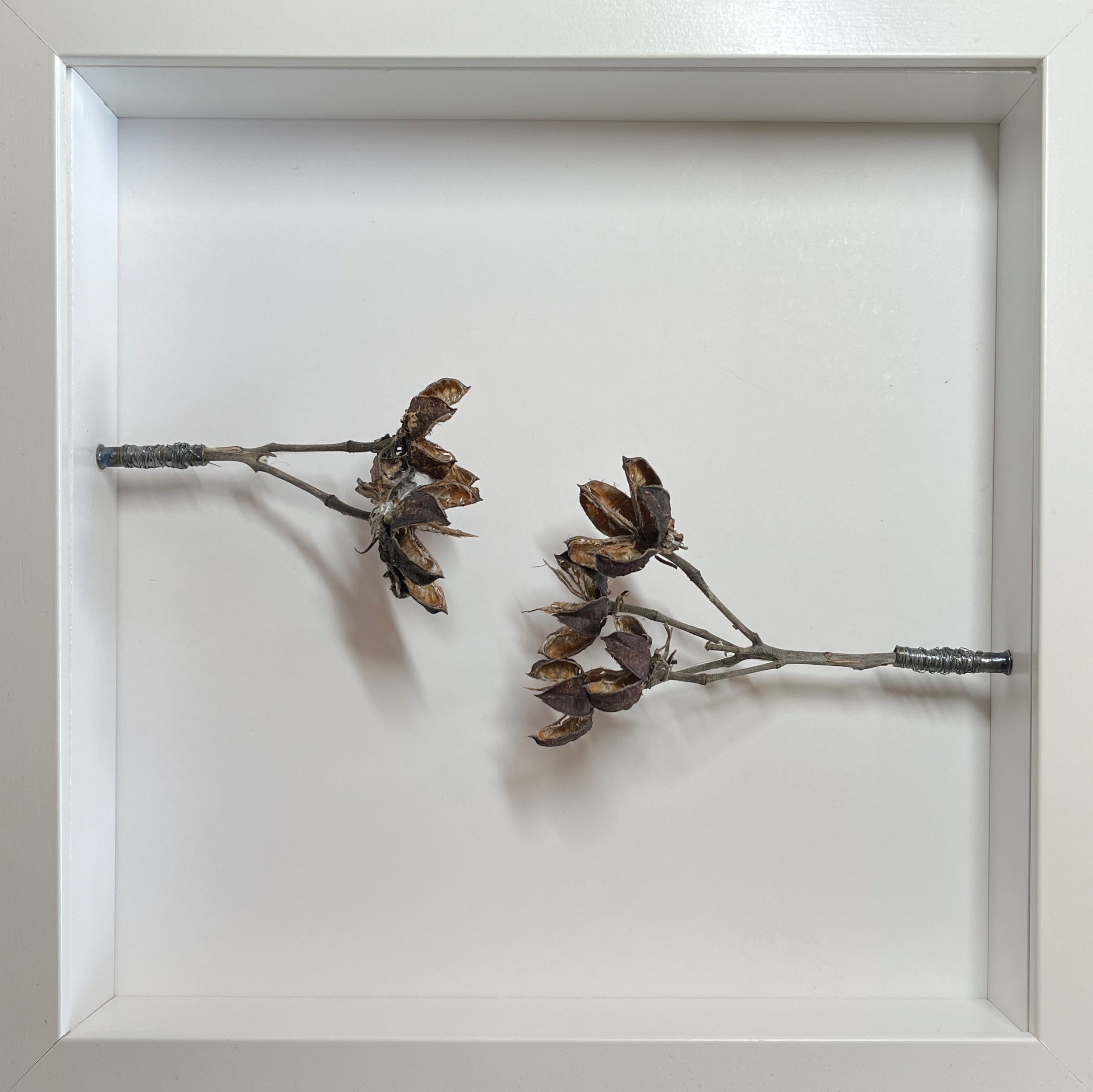 Petrichor Catalogue — Studio Gallery