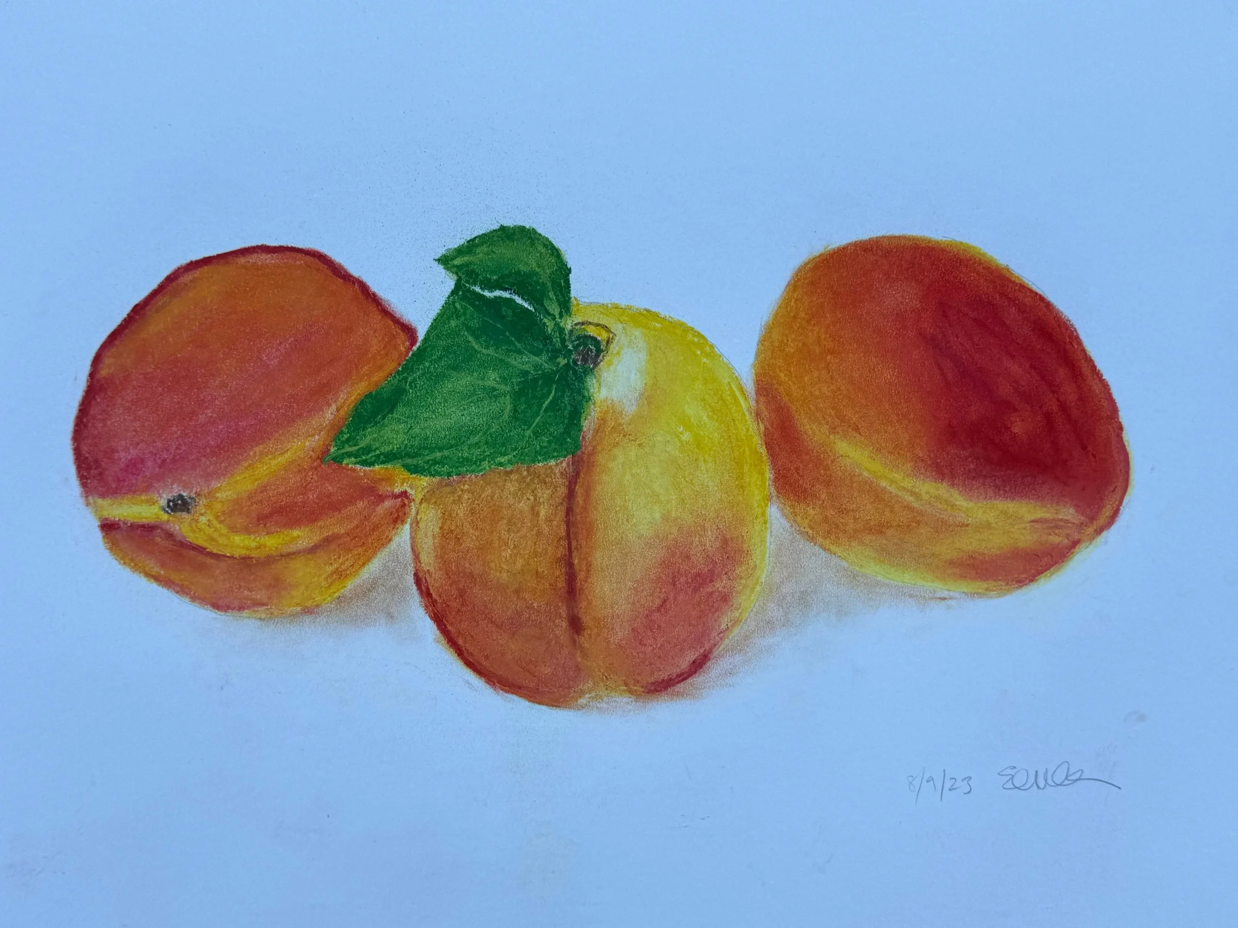 The Colors of Fruit Catalogue — Studio Gallery