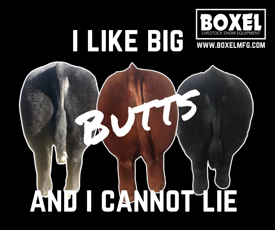 Memes — Boxel MFG