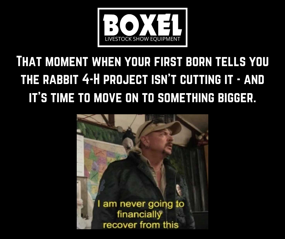 Memes — Boxel MFG