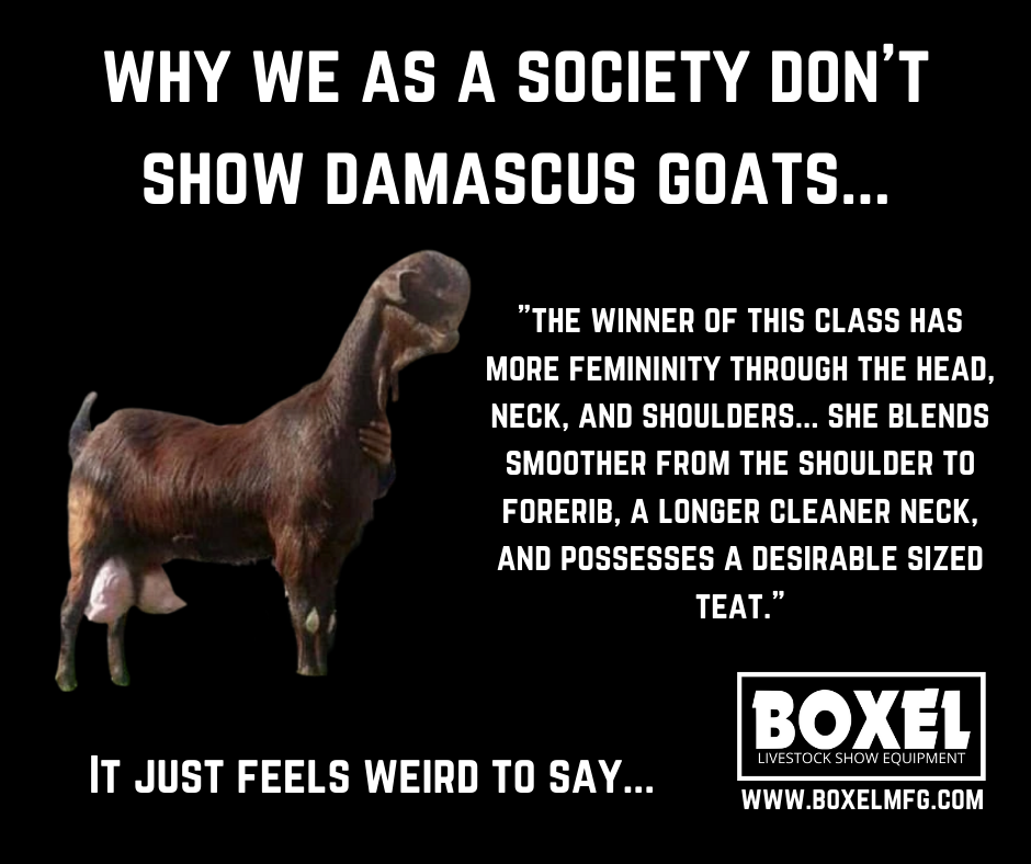 Goat Meme Feels Good