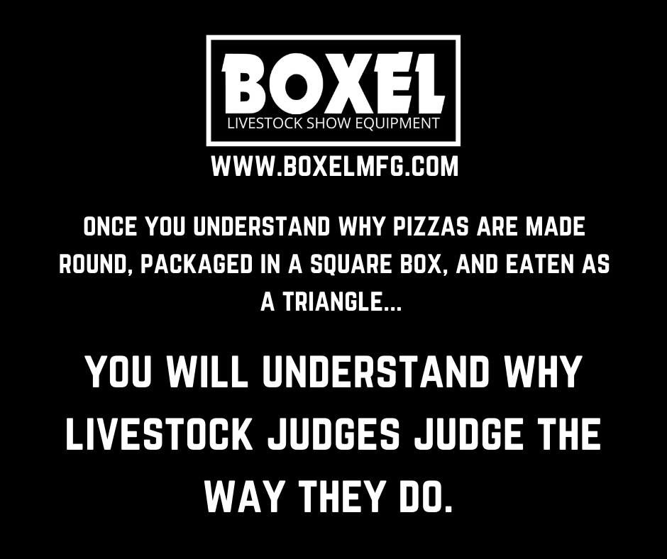 Memes — Boxel MFG