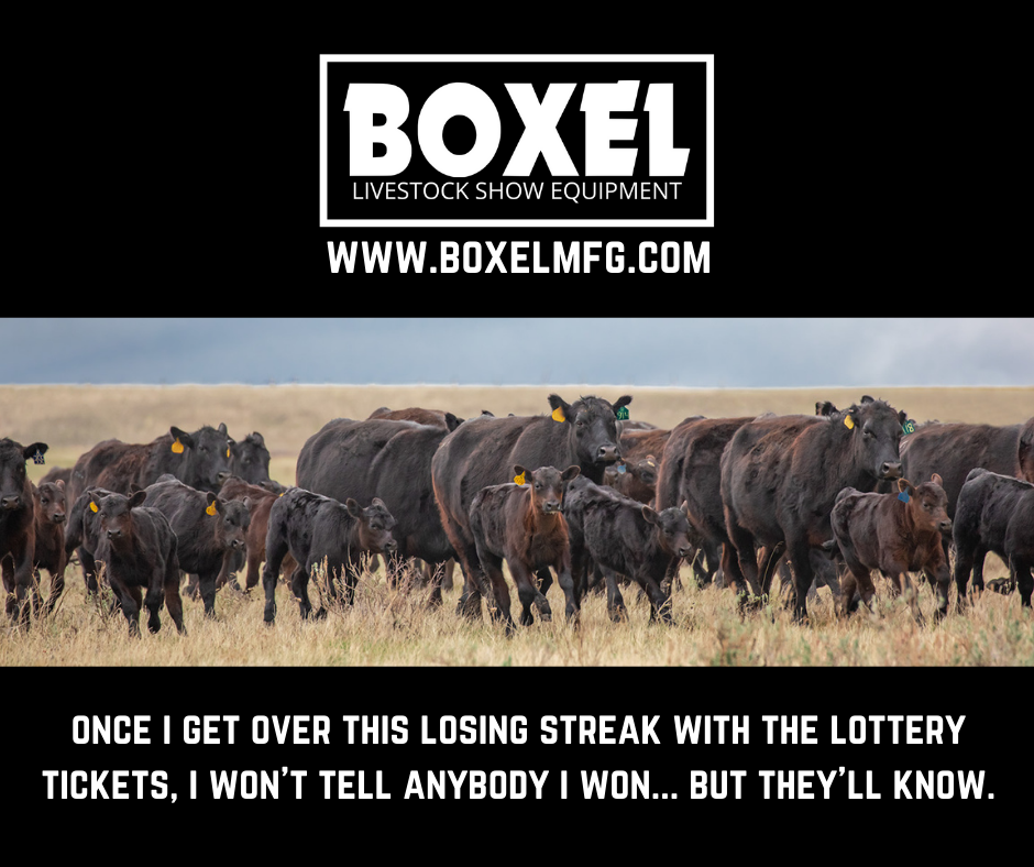 Memes — Boxel MFG