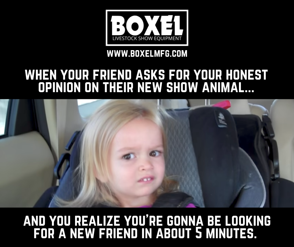 Memes — Boxel MFG