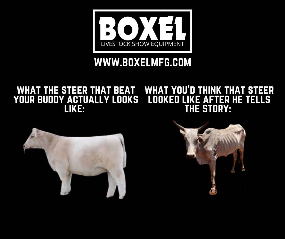 Memes — Boxel MFG