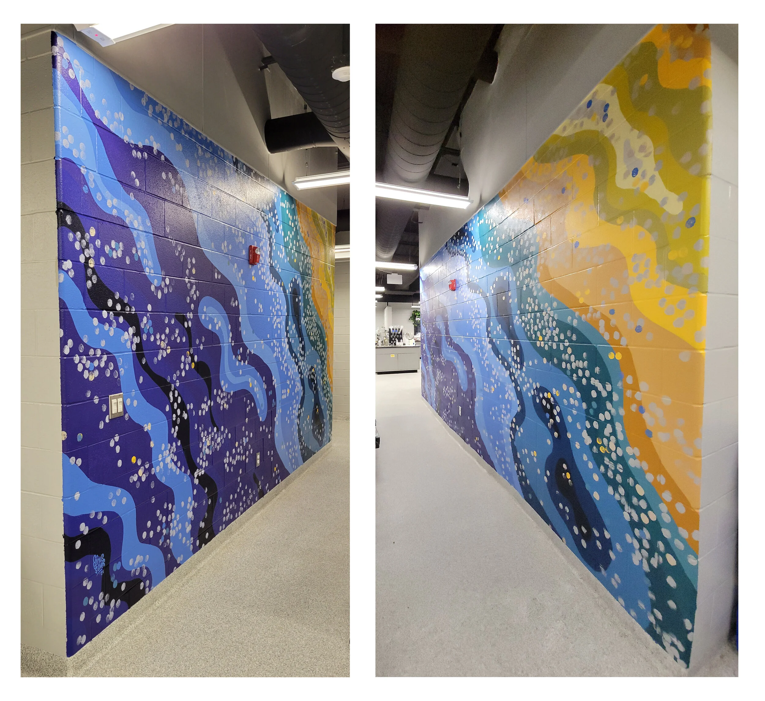 MURALS — GOBONUSSAVES