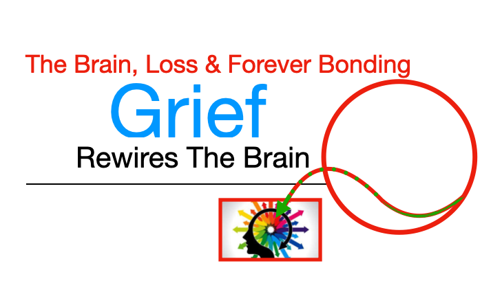 Hyperthymic Personality Is A Temperament; Not A Disorder — Don Elium ...