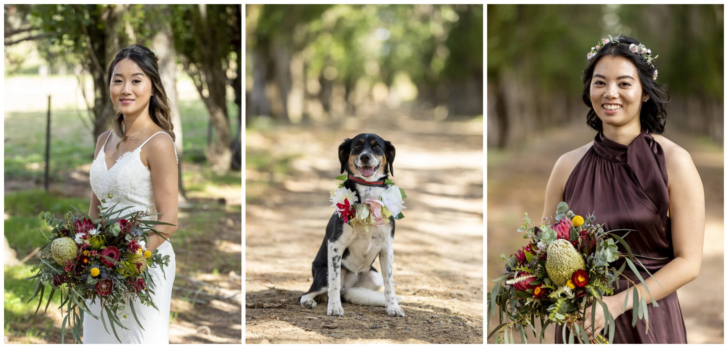 Winnie & Richard Niall — Timeless Creations