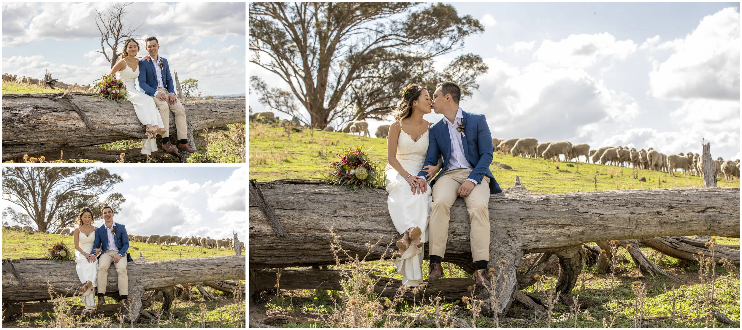 Winnie & Richard Niall — Timeless Creations