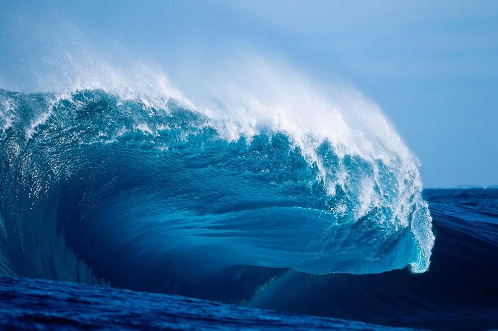 BEST SURF PHOTOGRAPHY BLOG — Ted Grambeau