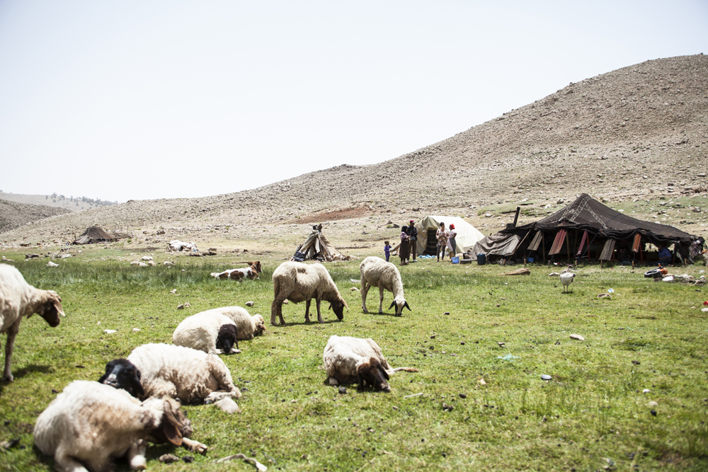 A Family of Nomads — The Wanderlove Collective