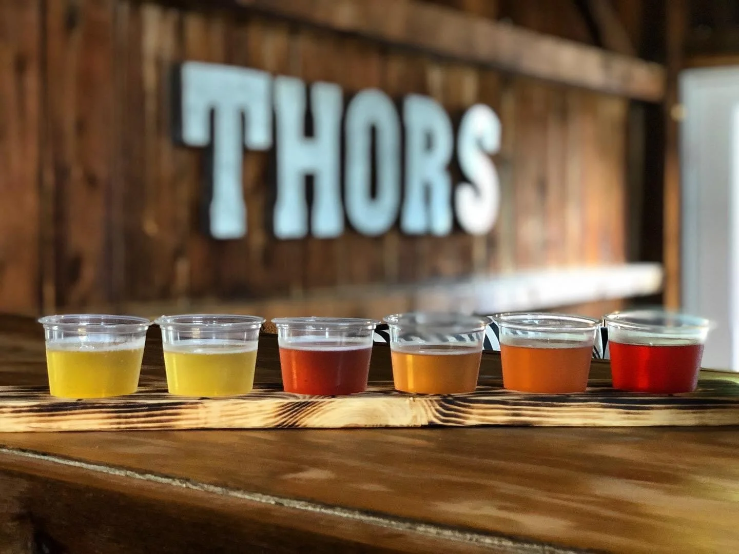 Thor's Hard Cider — Trivia Mafia