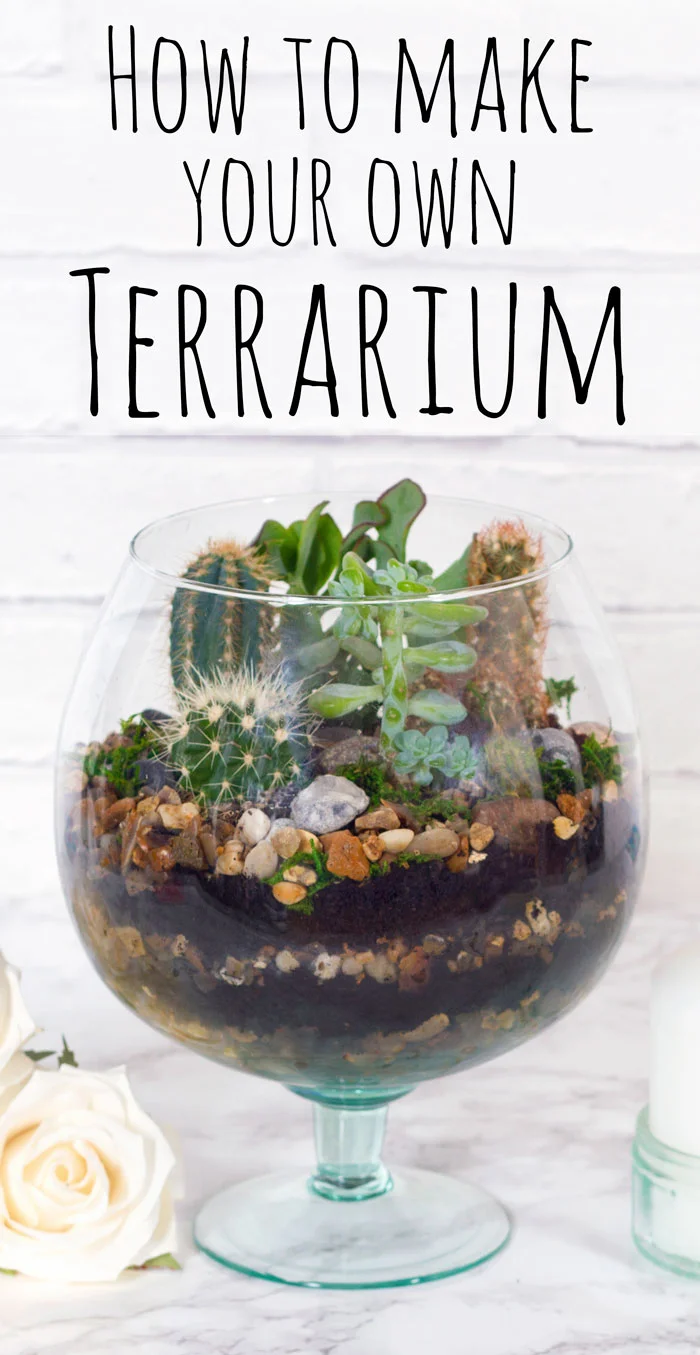 How to make a DIY Terrarium — Doodle and Stitch