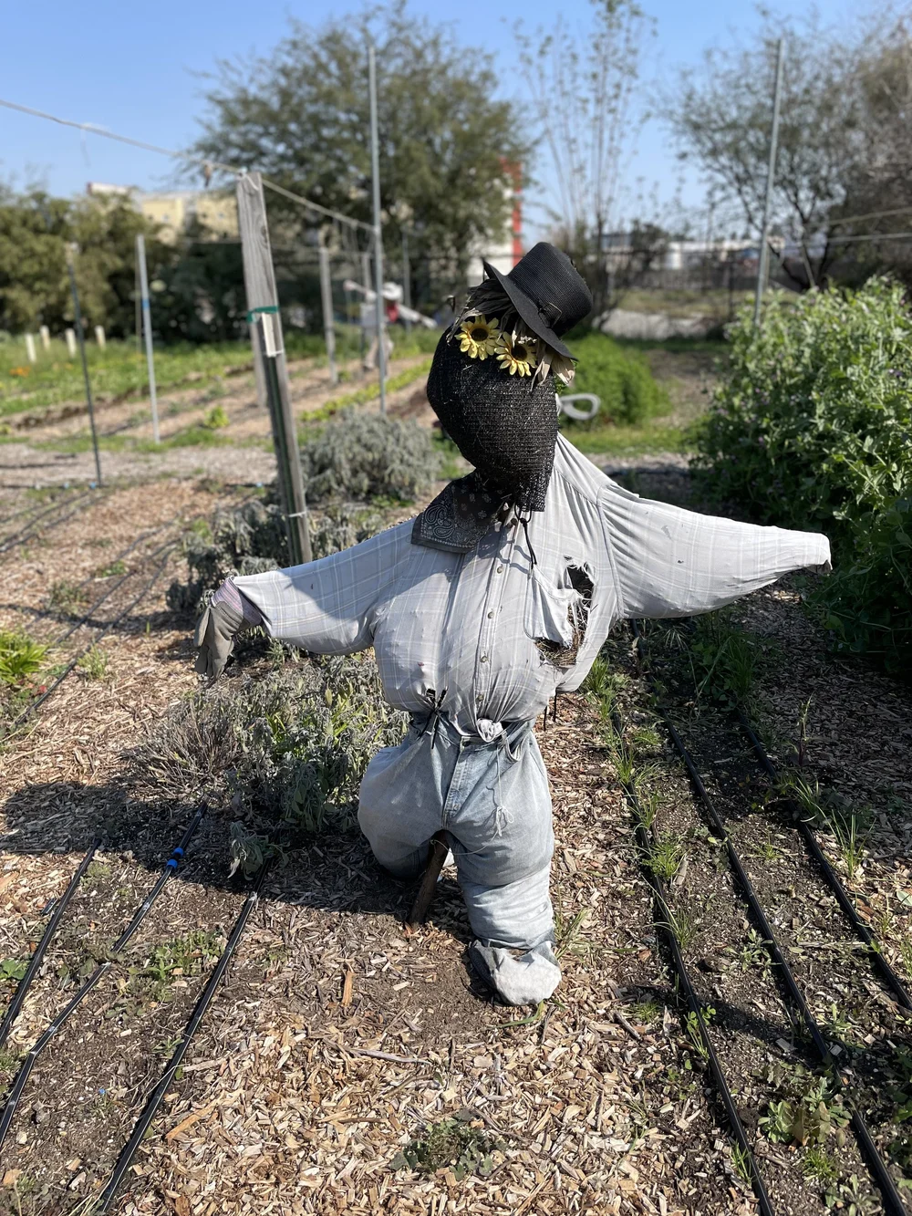 The Bell Farm — GrowGood