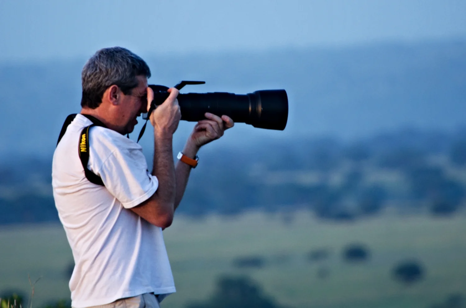 AMYS SAFARIS — YS Wildlife Photography