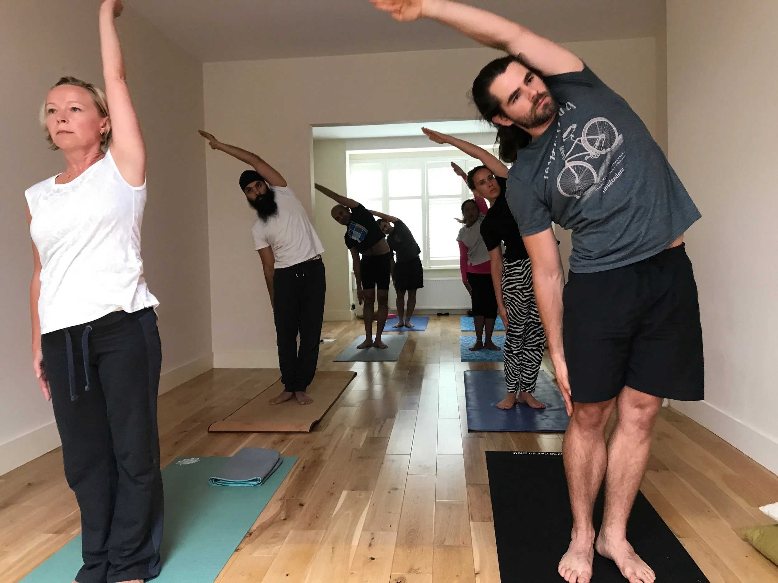The Hatha Yoga Effect