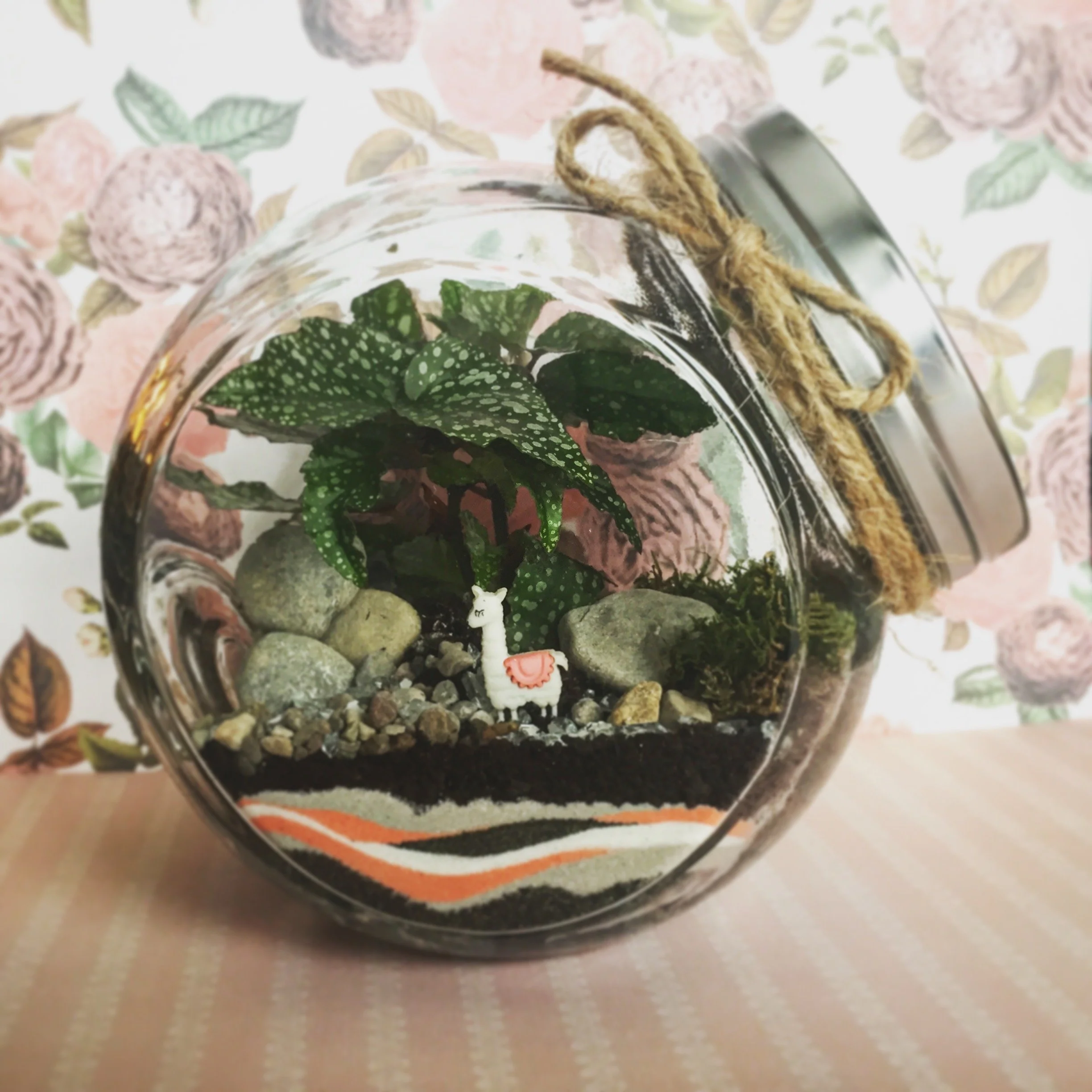 Jardin Terrariums LLCHome