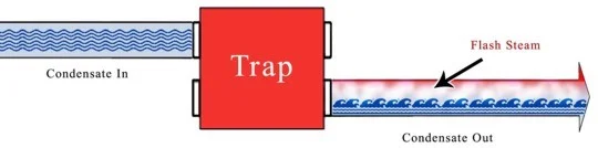 Steam Basics Part 7: How to Size Condensate Pipe
